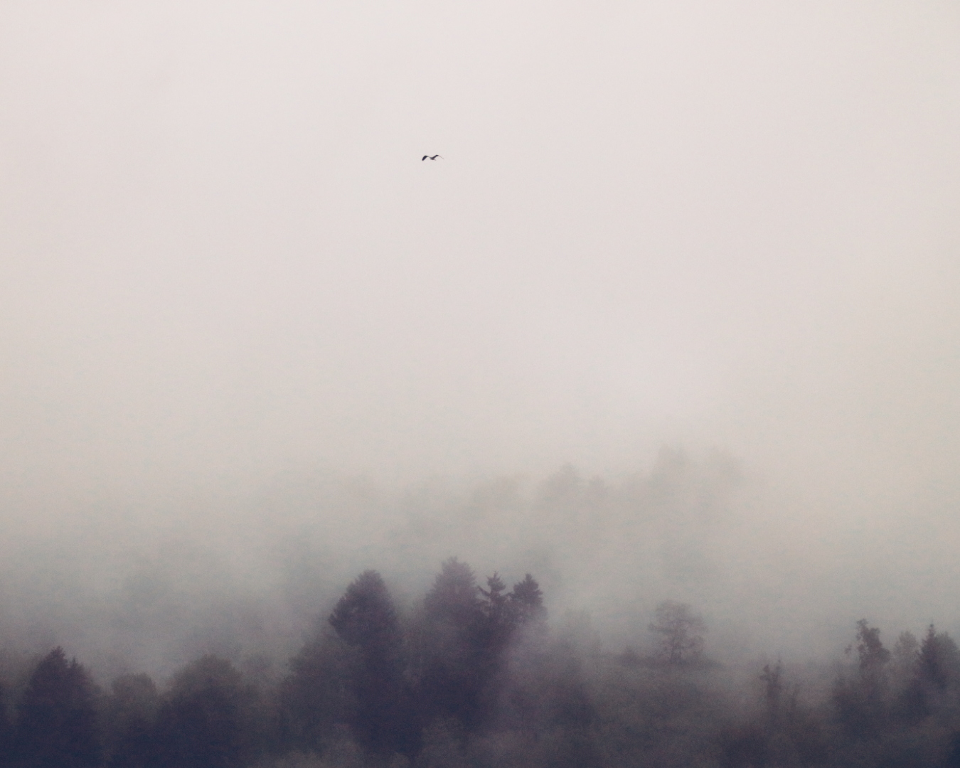 Vistas and Views – Claudio Meluzzi